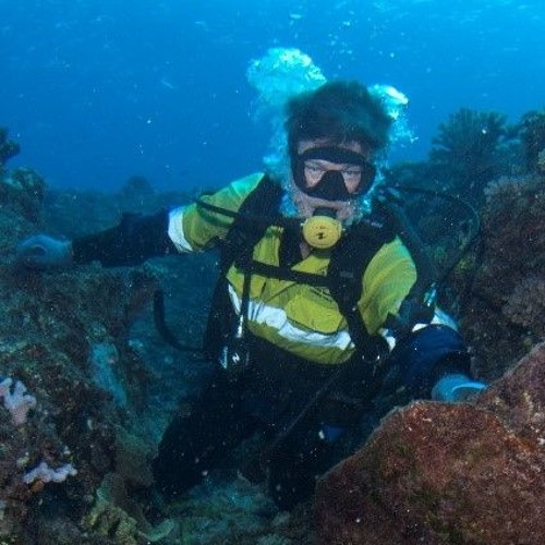 Stream episode Peter Illidge - In-situ protection of WWII aircraft ...