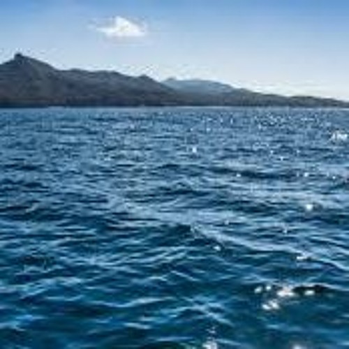 Stream Adult Swim Bump The Sparkling Sea by kazederpxx | Listen online ...