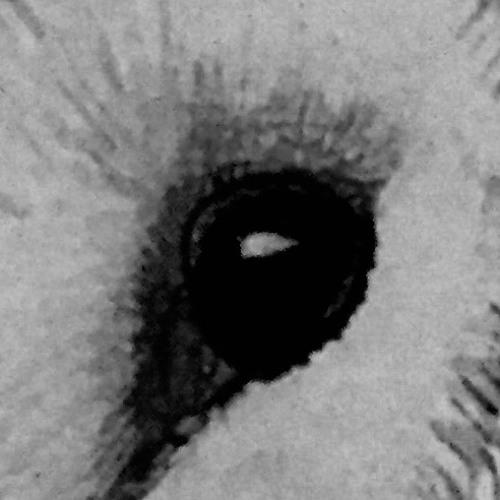 Stream Stuart McCann & Alan Dawson - Night Owl by Stuart McCann ...