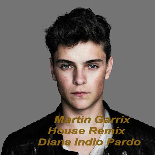 Stream Martin Garrix House Remix by DianaIndio | Listen online for free ...