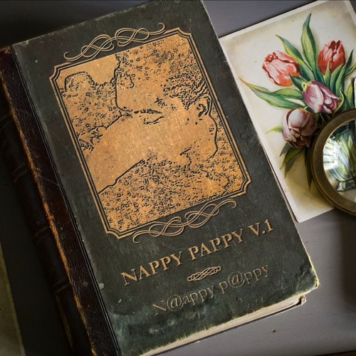 Stream NAPPY PAPPY x Nappy pappy by nappypappy13.3 | Listen online for ...