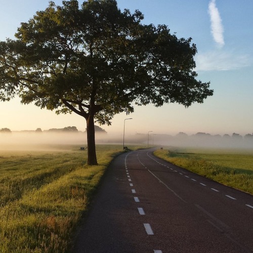 Stream Goodbye by Ian Rees | Listen online for free on SoundCloud