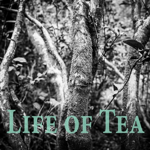 Stream episode Living Tea by Global Tea Hut podcast | Listen online for ...