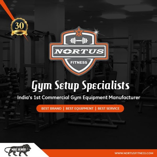 Stream episode What Is So Best About Commercial Gym Set Up? by Nortus ...