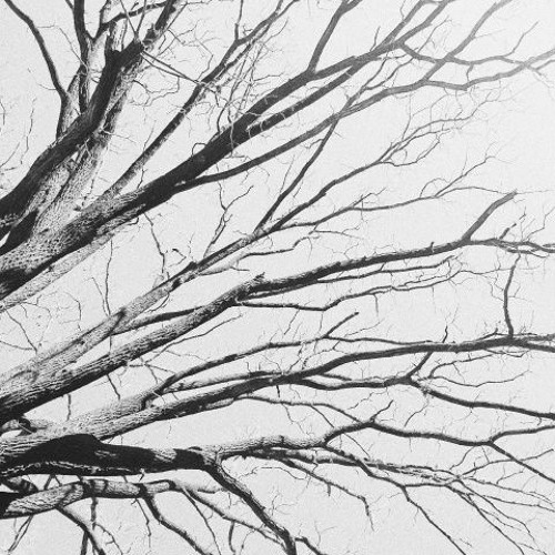 Stream san francisco y el lobo - seru giran (disaster version) by Sofía Spotti | Listen online ...