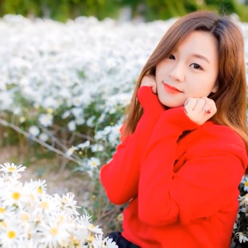 Stream NIVIRO - So Funky [NCS 8D] New Mix Ncs Official by Learning ...