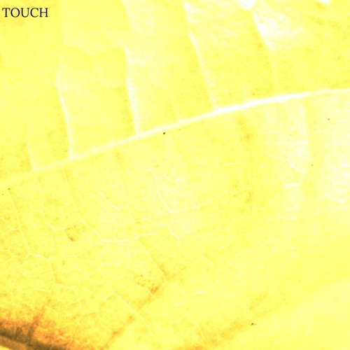 Stream randomleaks | Listen to Touch [Special Edition] playlist online ...