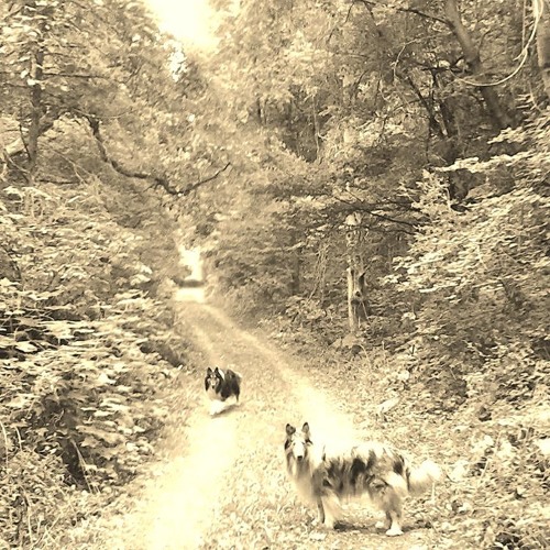 Stream Ayer's Cliff - Flawed Sketch by robb wilkin | Listen online for ...