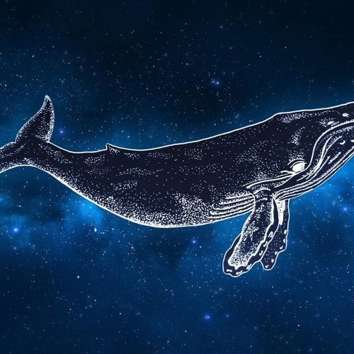 Stream Space Whale by Wooddan | Listen online for free on SoundCloud