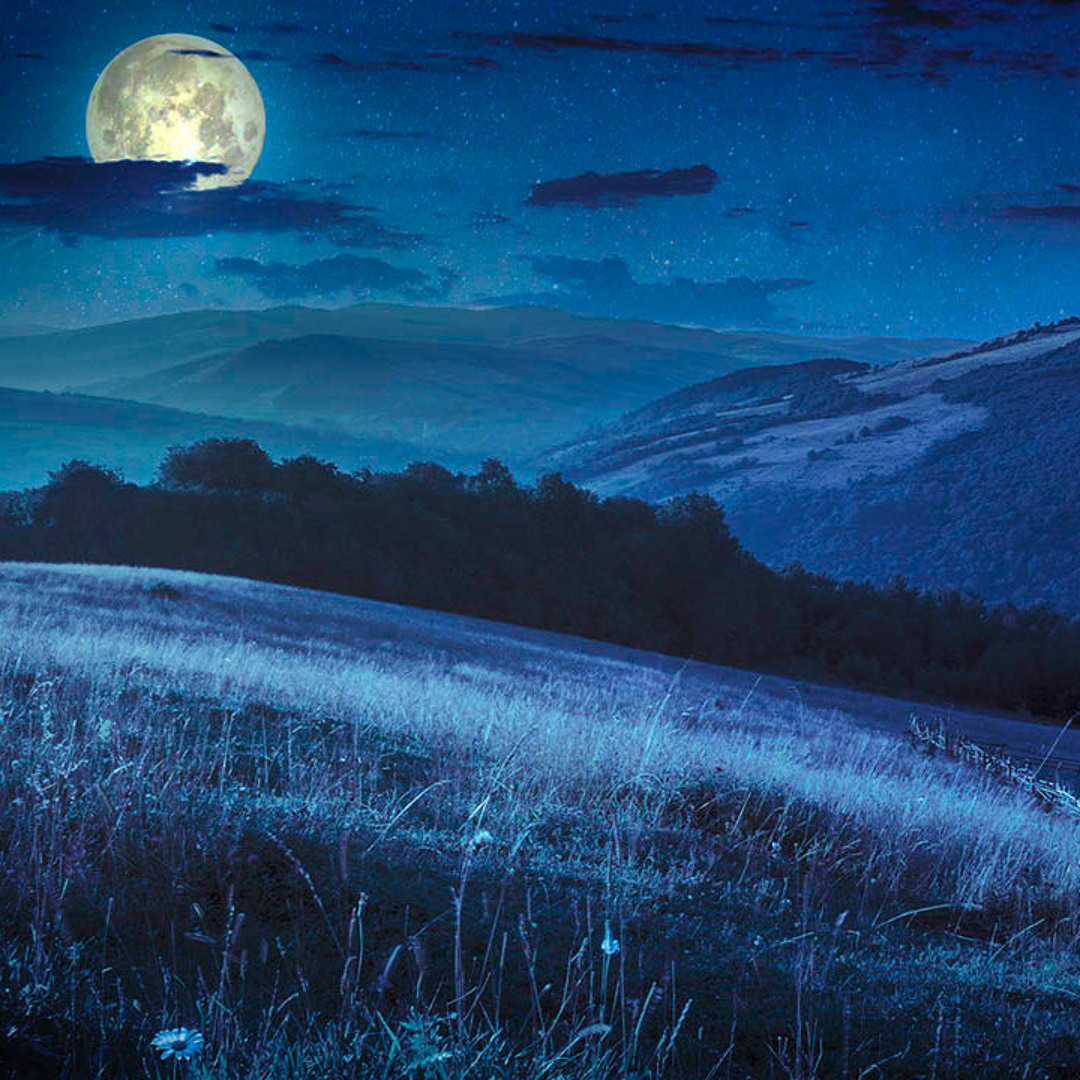 Stream Cricket Sleep Nature Sounds (75 Minutes) by Relaxing White Noise ...