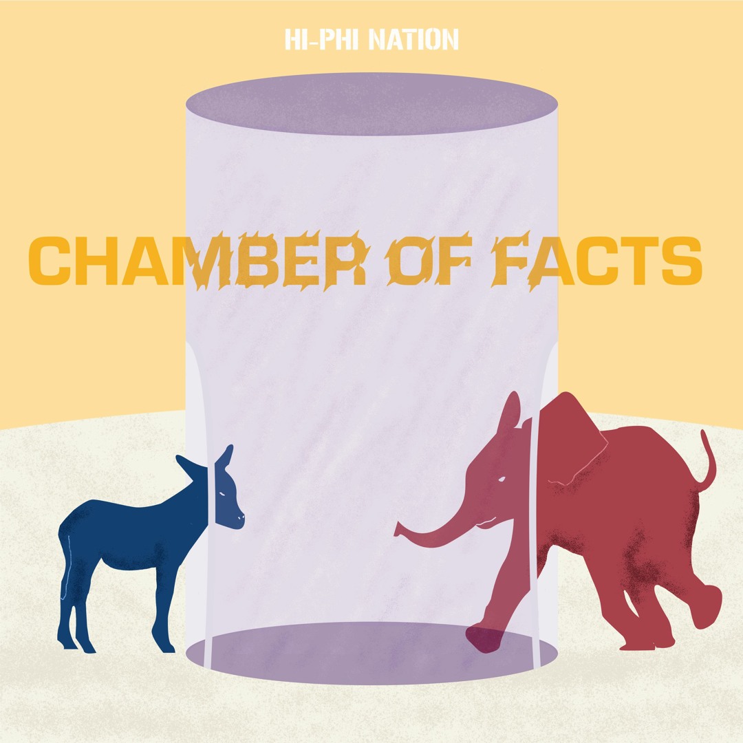 Stream (Bonus) Chamber of Facts: Media Echo Chambers with Daniel Wodak ...
