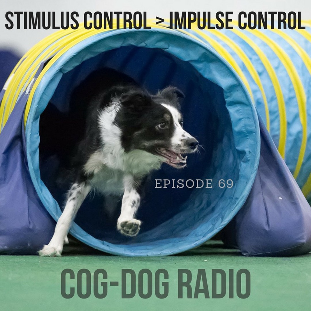 Stream Stimulus Control > Impulse Control by Cog-Dog Radio | Listen ...