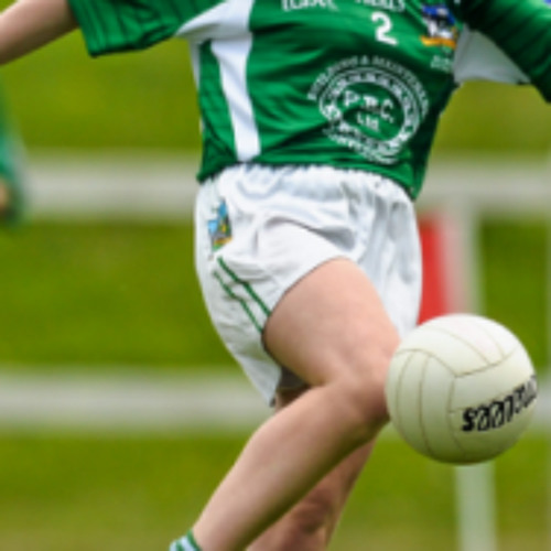 Stream episode Limerick Ladies football manager John Ryan by Sporting ...