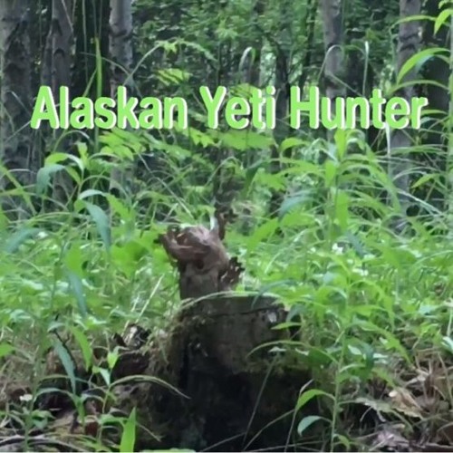 Stream Alaskan Yeti Hunter Credit Roll by Shadow Veil Productions ...