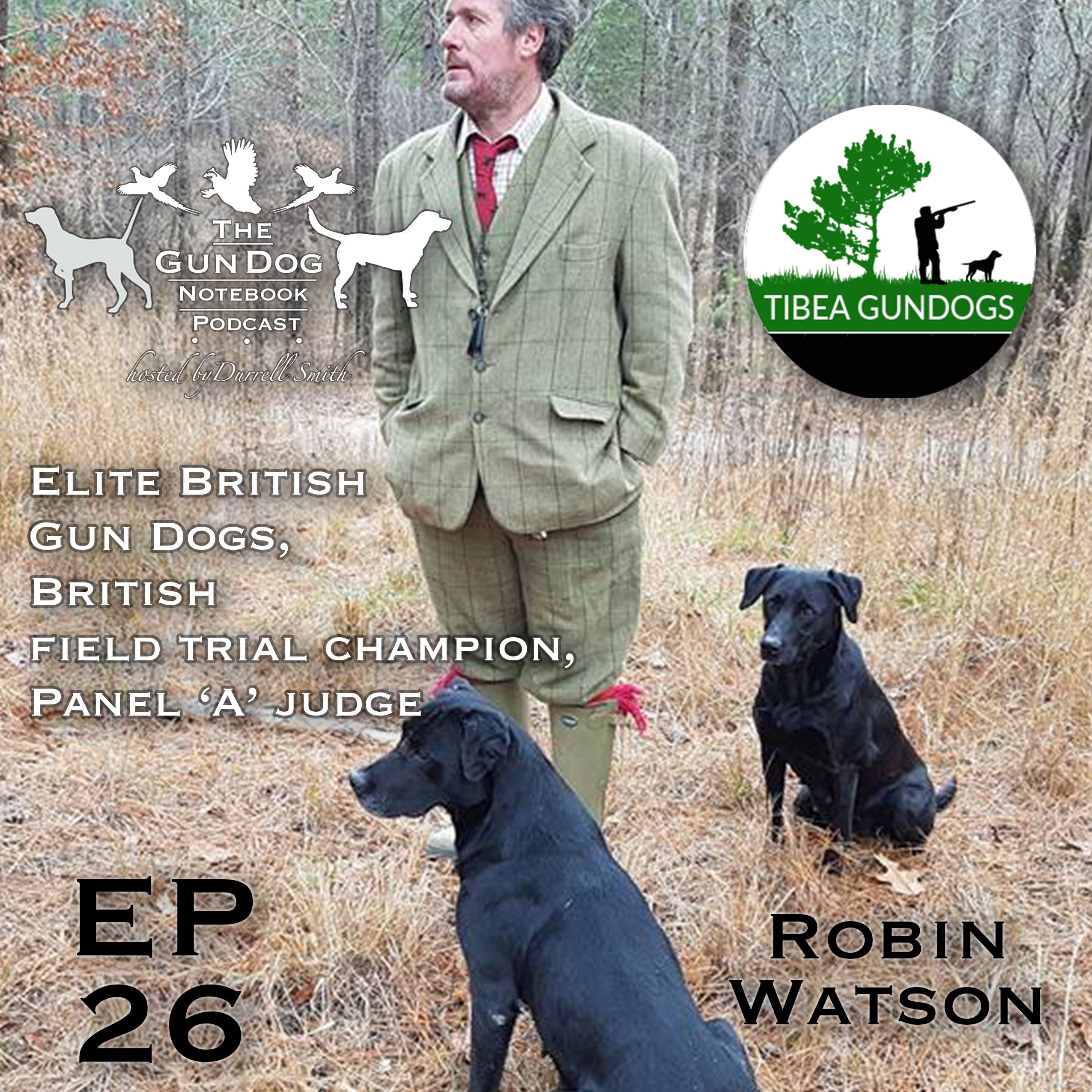 TGDN EP26 ft. Robin Watson of Tibea Gundogs by The Gun Dog Notebook