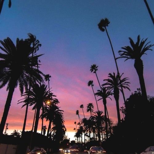 Stream XXXTENTACION - Garettes Revenge Lyrics by Aaron Loredo | Listen ...