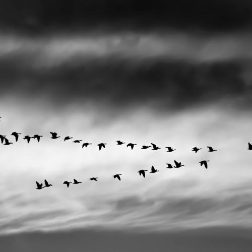 Stream The Law Of Unity by His24-7.com | Listen online for free on ...