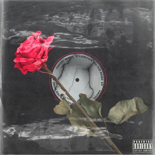 Rose Havoc