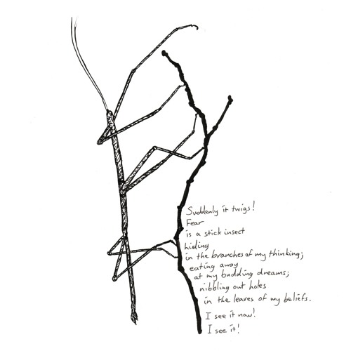 Walking Stick Insect Drawing