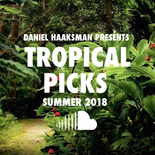 Stream Daniel Haaksman | Listen to Daniel Haaksman Presents Tropical ...