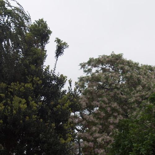 Stream In Places by Late June | Listen online for free on SoundCloud