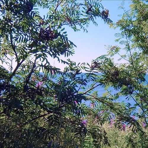 Stream Cleo Sol - Still Cold (Roope's Dark Version) by Roope Rautava ...