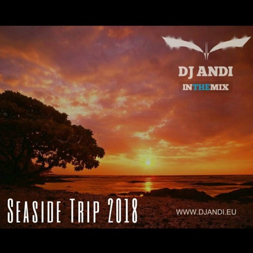 Stream Dj Andi - Seaside Trip 2018 by Dj Andi | Listen online for free ...