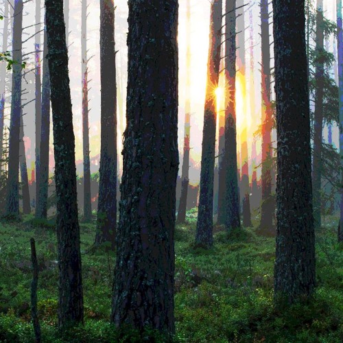 Stream Kusukela emasimini by Hs | Listen online for free on SoundCloud