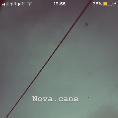 Stream nova.cane by ("InsertName"): | Listen online for free on SoundCloud