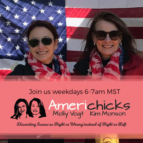 Stream 8.15.18:Debate Challange-Colorado Roads-Dr. Jill Vecchio on ... Stream 8.15.18:Debate Challange-Colorado Roads-Dr. Jill Vecchio on ...