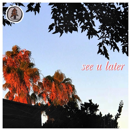 Stream see u later by julesfromthewood | Listen online for free on ...