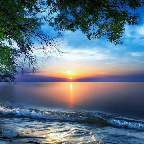 Stream Alex Sweet | Listen to Artists of the month playlist online for ...