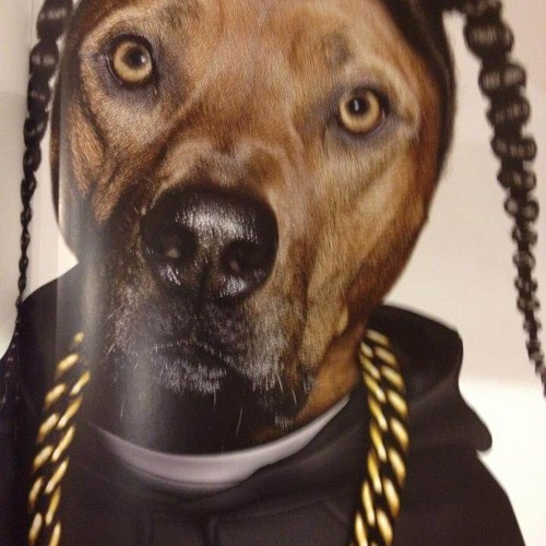 Stream Unk Feat. Baby - D - Hold On Remix Prod. PDogBeatZ by PDogbeatz ...