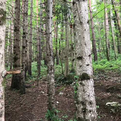 Stream Coburn Banes 2 by Clay Banes | Listen online for free on SoundCloud