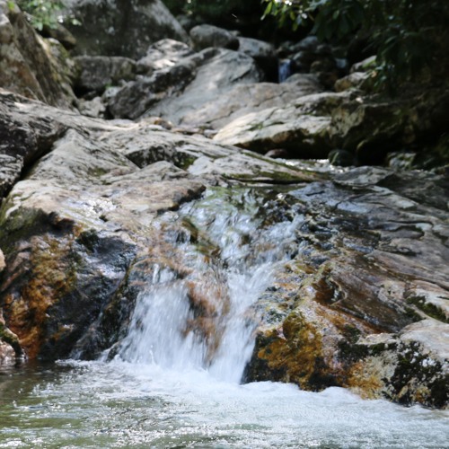 Stream Signs by SolarEyez | Listen online for free on SoundCloud