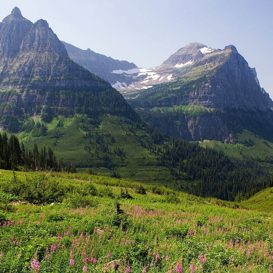 Stream Epoo Rizk | Listen to Ibra playlist online for free on SoundCloud