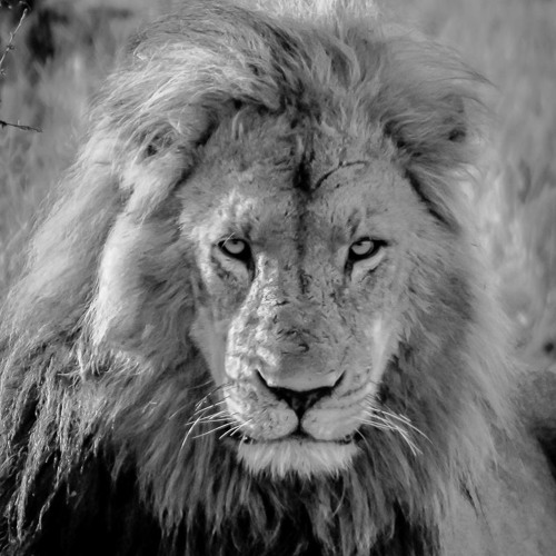 Stream Robert Slover | Listen to 1960s 1970s Electric Blues playlist ...