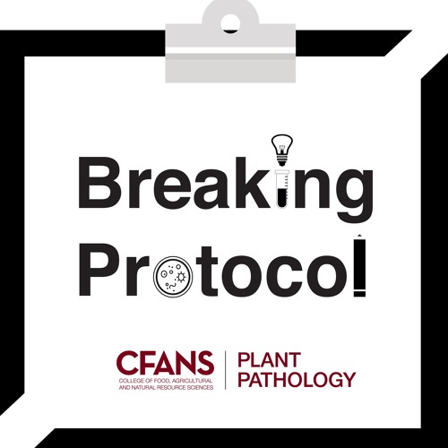 Stream episode Breaking Protocol Episode 1: Jim Bradeen by UMN Plant ...