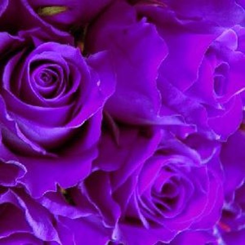 Stream 너도나도(feat. Kingchi Mane) by KimHuyu | Listen online for free on ...