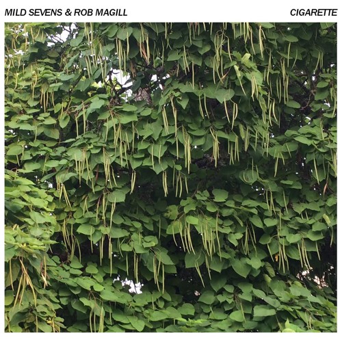 Stream "Cigarette" with Rob Magill by MILD SEVENS | Listen online for ...