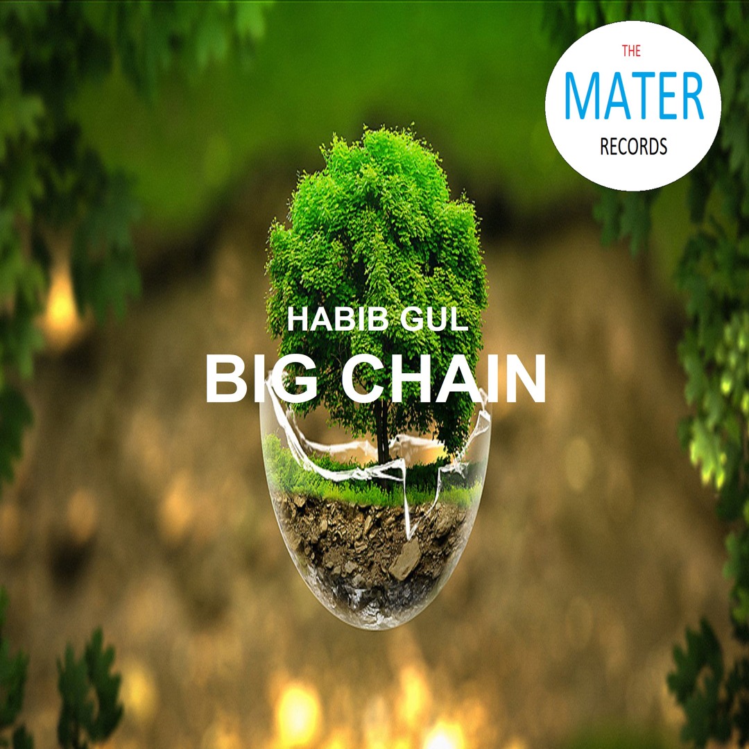 Stream Habib Gul - Big Chain by The Mater Records | Listen online for ...