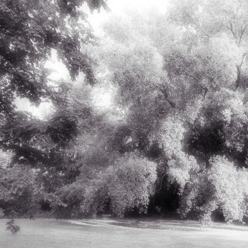 Stream Orpheus (David Sylvian cover: by INTERNO_URBANO | Listen online ...