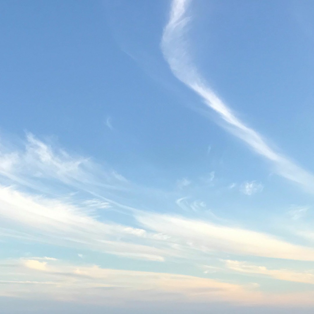 Stream Quatre vents ~ Danit cover by Nina | Listen online for free on ...