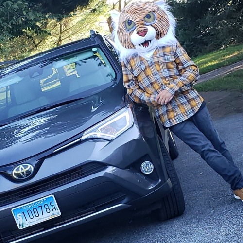 Stream Bill Nightly- Pimpwalk by Hoil | Listen online for free on ...