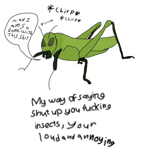 Cricket Insect Meme