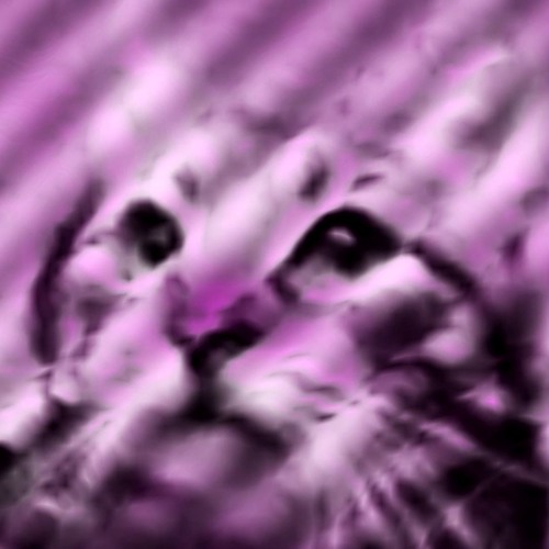 Stream Trapped In A Synthesizer by groboclone | Listen online for free ...