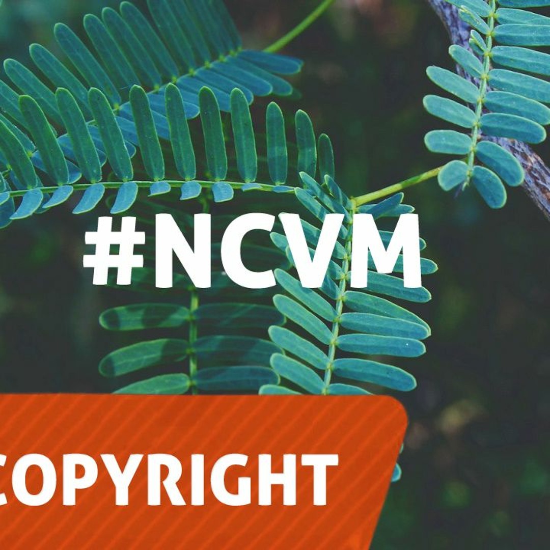 Stream Vexento - Spark by No Copyright Vlog Music (#NCVM) | Listen ...