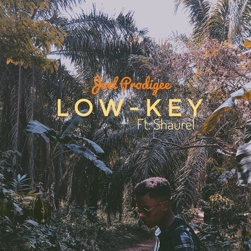 Stream Low-Key (feat. Shaurel) by Joel Prodigee | Listen online for ...