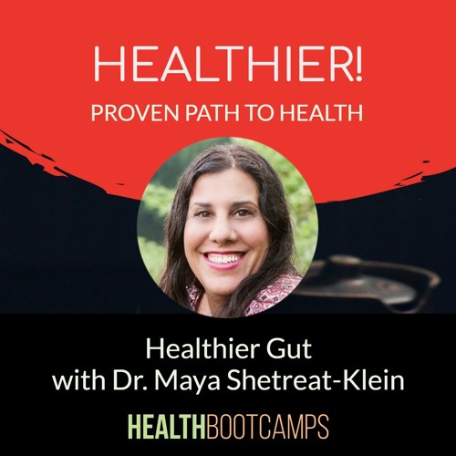 Stream Healthier Gut With Dr Maya Shetreat Klein By Healthier Listen