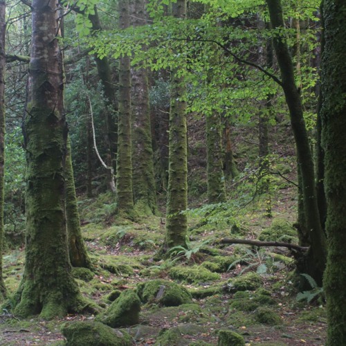 Stream Meditation by Evan Gunderson | Listen online for free on SoundCloud